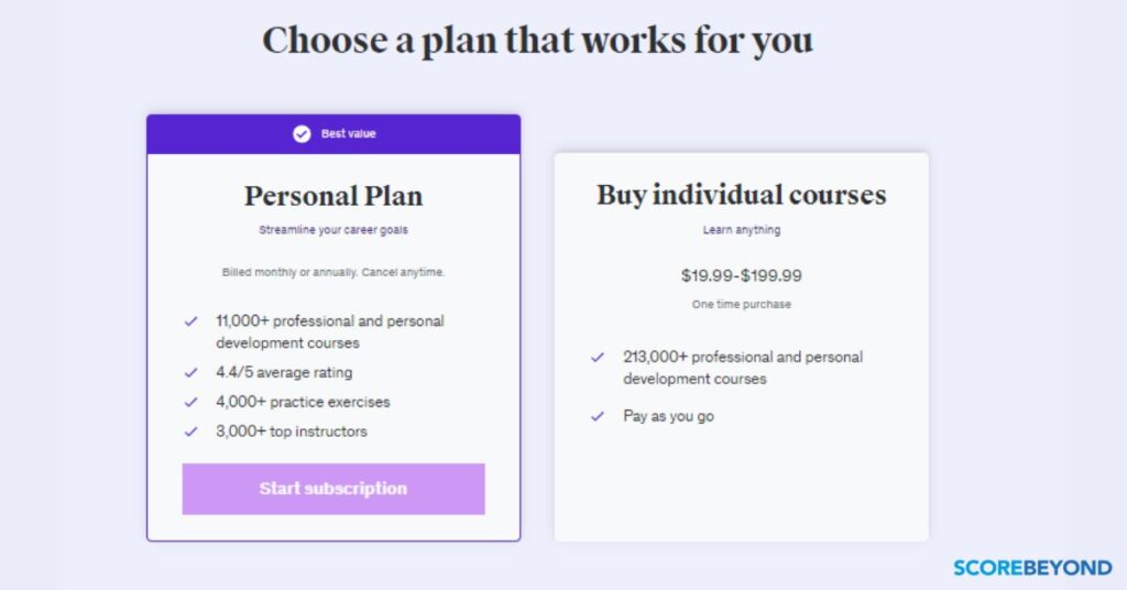 Udemy Pricing: Do They Offer a Monthly or Annual Plan?