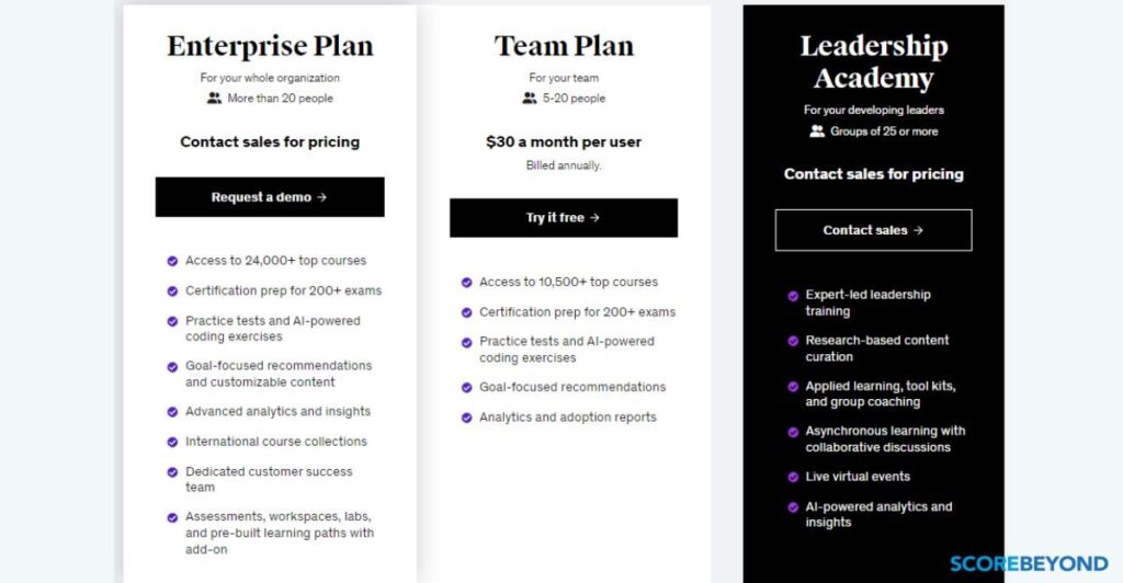 Udemy Pricing: Do They Offer a Monthly or Annual Plan?